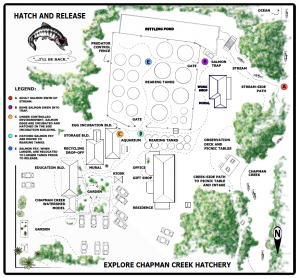 Sunshine Coast Salmonid Enhancement Society and Chapman Creek ...